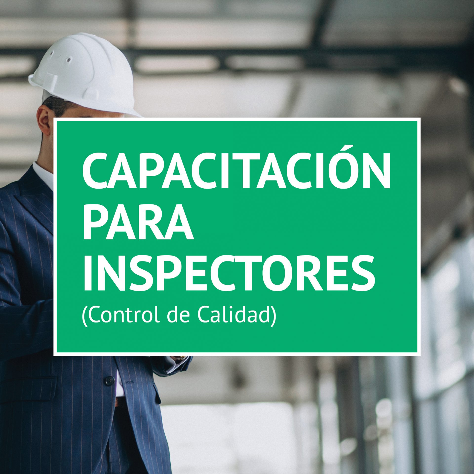 CAPACITACIÓN PARA INSPECTORES (Control de Calidad) | IDE