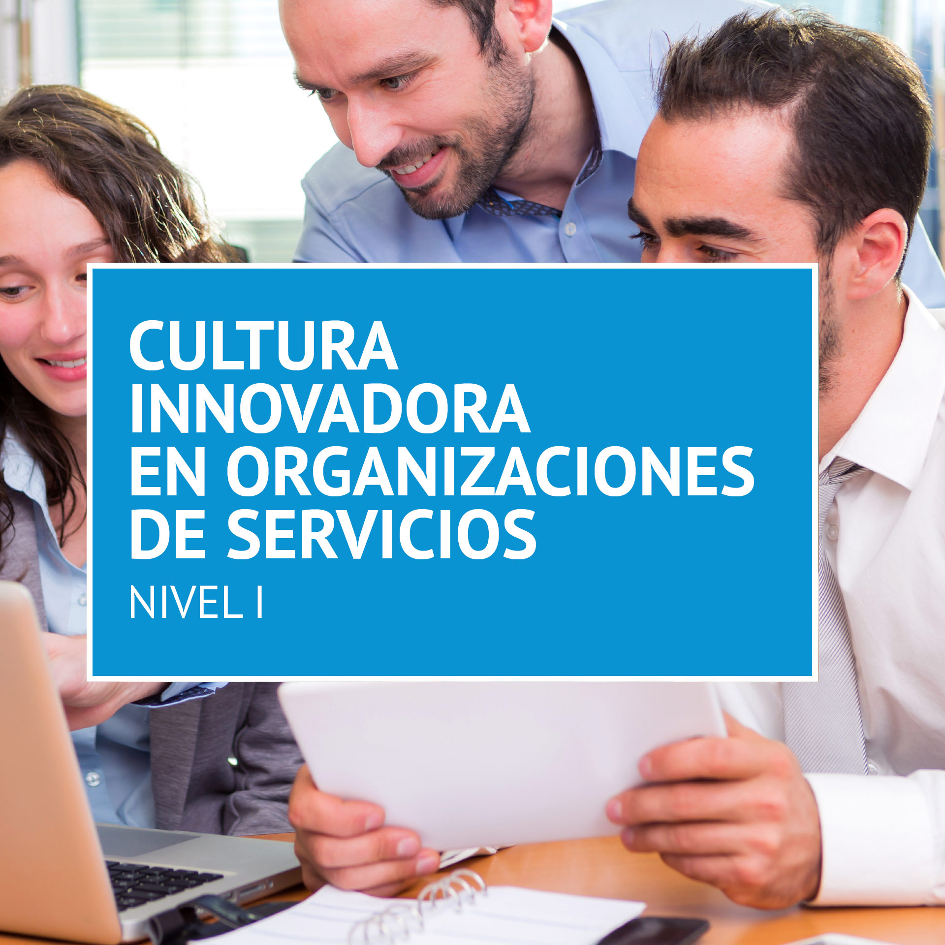 CULTURA INNOVADORA EN ORGANIZACIONES DE SERVICIOS - NIVEL I | IDE